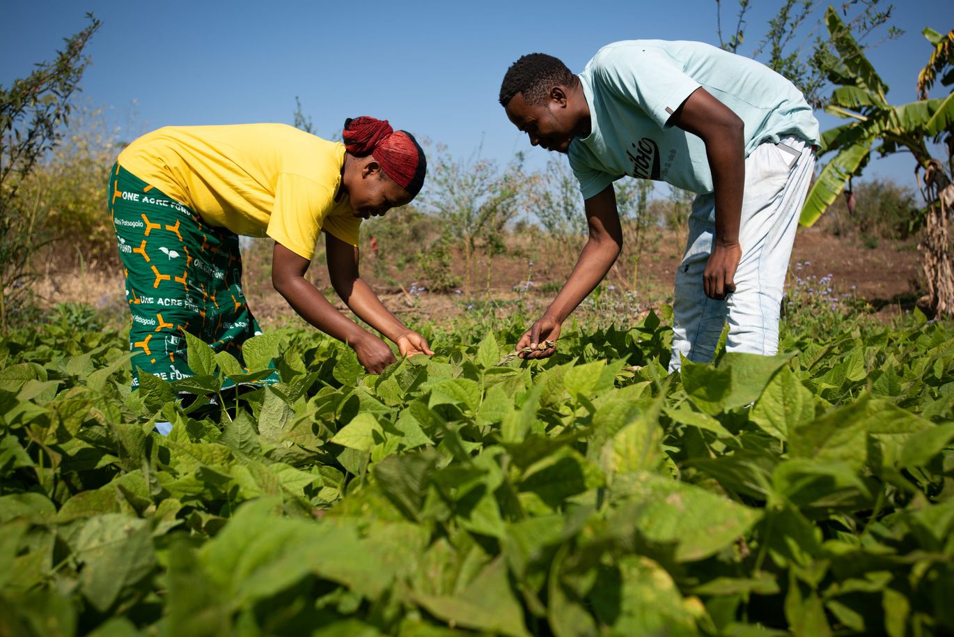 Climate-Smart Agriculture Kenya.