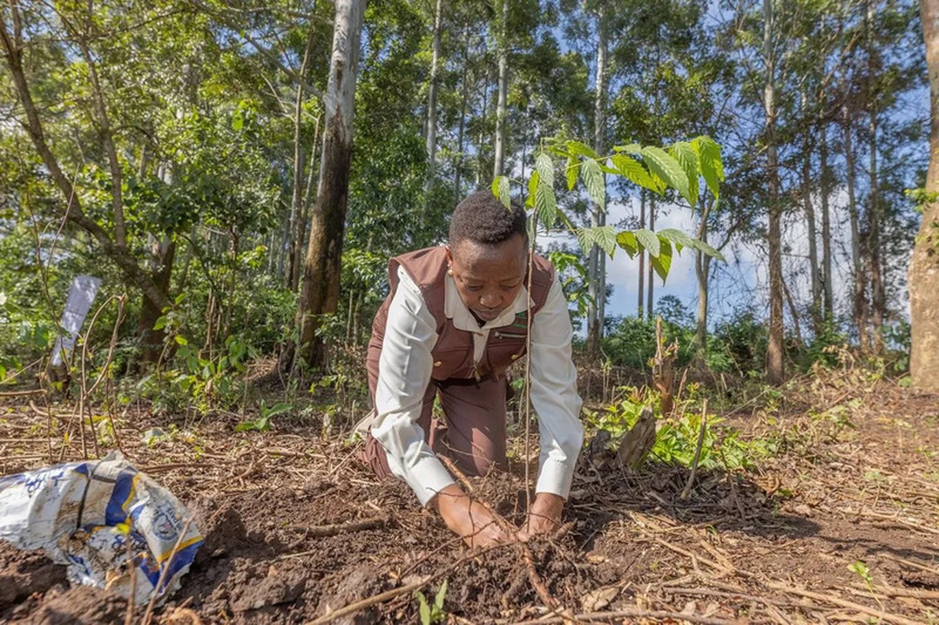 Empowering Ecosystem Restoration in Kenya - Green Resources Initiative ...