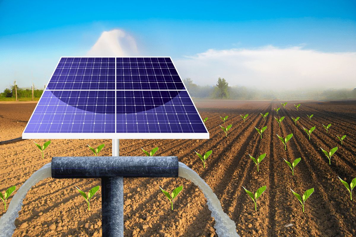 Solar-Powered Irrigation Kenya.