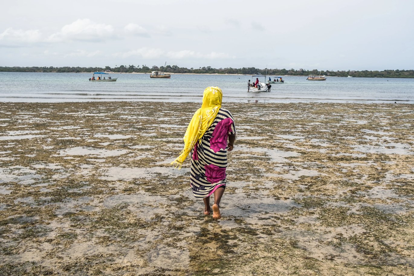 Marine Ecosystem Restoration in Kenya Kenya.